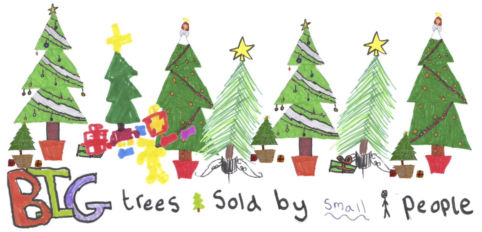 Christmas Trees Friends Of Morley christmas-trees-friends-of-morley